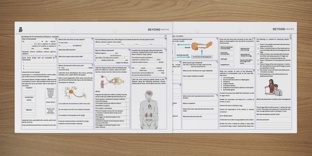 Homeostasis Revision Activity - Beyond - Secondary - Science