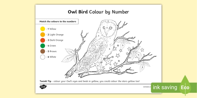 FREE! - Owl Bird Colour By Number (teacher made)