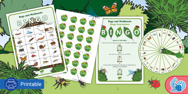 Minibeast Bug Bingo Game –Twinkl Resources (Teacher-Made)