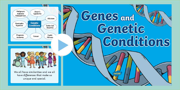 Genes And Genetic Conditions Powerpoint Teacher Made