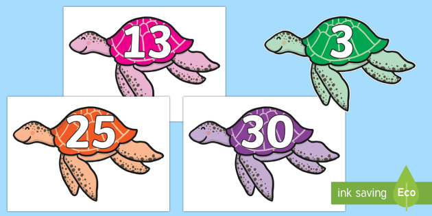 0 to 30 on Turtles Display Posters - 0 to 30 on Turtles