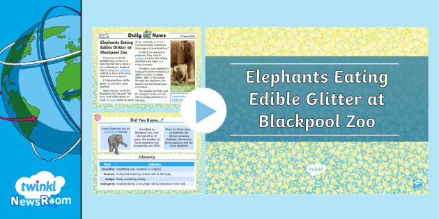Zoo PowerPoints | twinkl.com.au