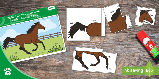 Build Your Own Horse with Labels - Activity Cards - Pets