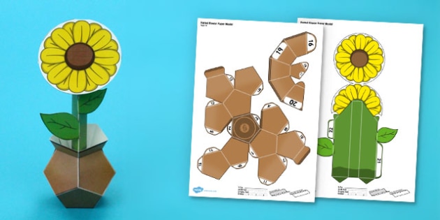 Potted Flower Paper Model (teacher made)