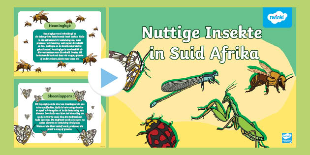 Nuttige Insekte in Suid Afrika Powerpoint