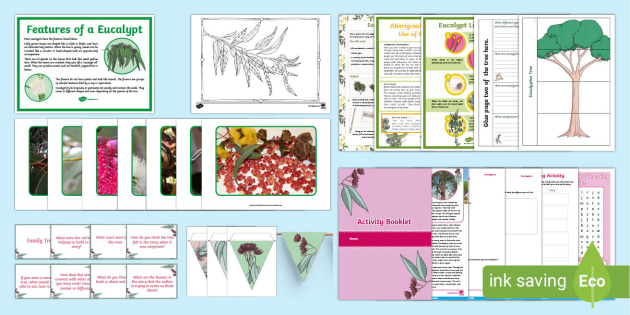 Resource Pack to Support Teaching on Family Tree