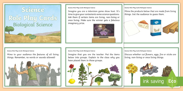 Year 3 Biological Sciences Role Play Cards (teacher made)