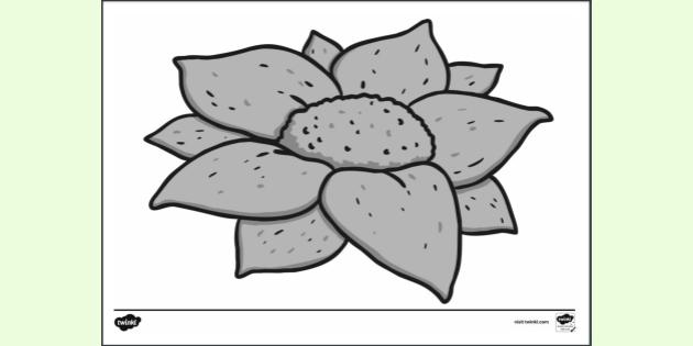 FREE! - Clay Flower Colouring | Colouring Sheets