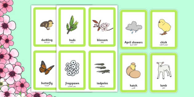 Spring Pairs Matching Game Arabic Translation
