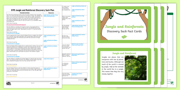 EYFS Jungle Discovery Sack (teacher made)