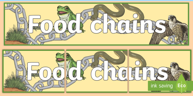 FREE! - Food Chains Display Banner (teacher made)