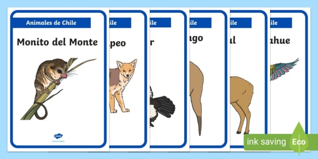 * NEW * Póster: Animales de Chile (teacher made)