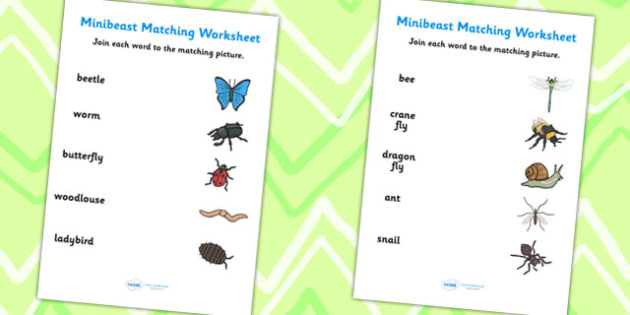 Minibeast Word and Picture Matching Worksheets - minibeast