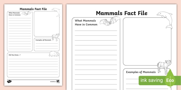 Mammals - Fact File (teacher made)