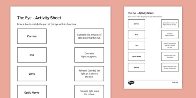 The Eye Match and Draw (teacher made)