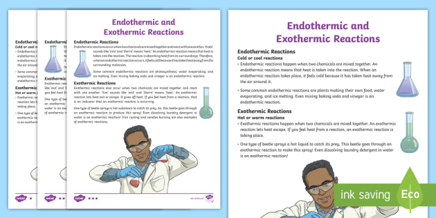 Ectothermic Endothermic Animals Of Australia Studycom