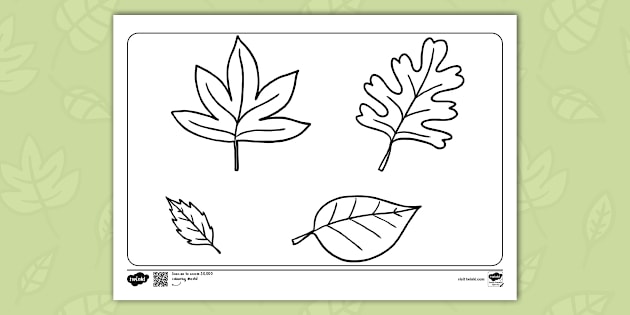 coloring picture leaves