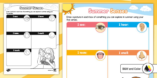 Summer Senses Activity (teacher made)