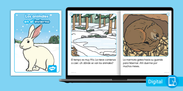 Animals in Winter | twinkl.com