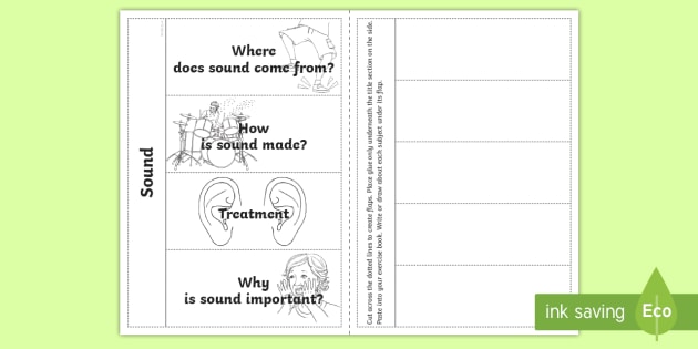 Sound Science Flaps Worksheet (teacher made)