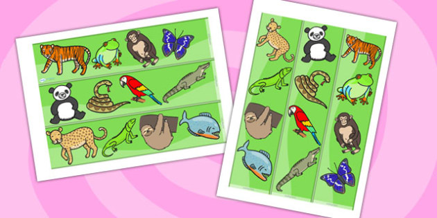 FREE! - Jungle & Rainforest Display Borders (teacher made)