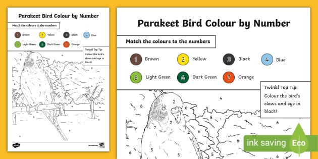 FREE! - Parakeet Bird Colour by Number Activity