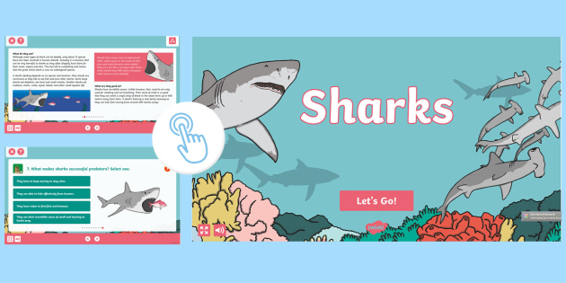 * NEW * KS1 Sharks Differentiated Reading Comprehension Activity