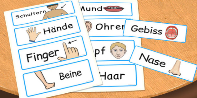 Parts of the Body Word Cards German (teacher made)