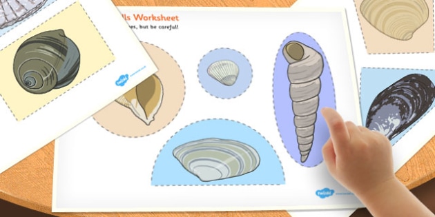 British Seashell Cutting Skills Worksheet