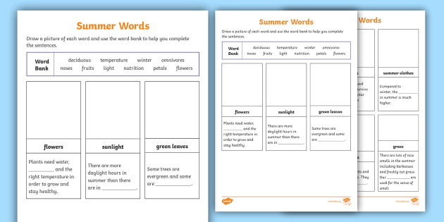 Summer Words Activity Sheet (teacher made)