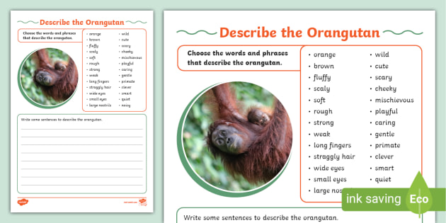 Describe the Orangutan Writing Activity (teacher made)