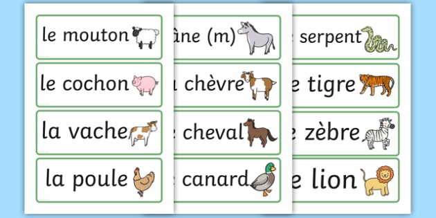 FREE! - Animal Names in French: Word Cards