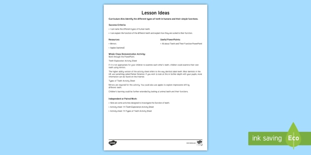 Different Types of Teeth and Their Functions Lesson Ideas Different Types of Teeth and Their Functions Lesson Ideas