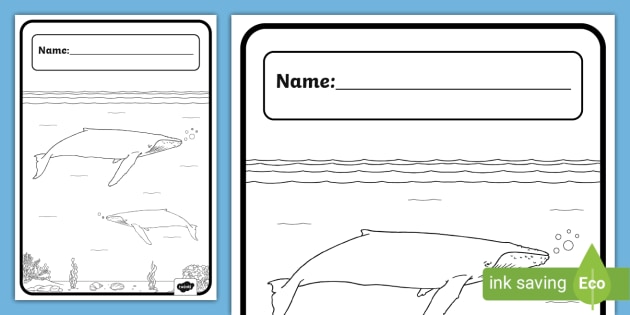 FREE! - Humpback Whale Colouring Book Cover (teacher made)