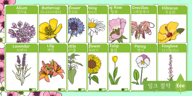 * NEW * 꽃 식별 디스플레이 포스터 Flower Identification Display Posters