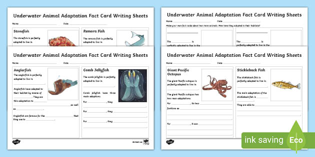 KS2 Underwater Animal Adaptation Fact Writing Sheets