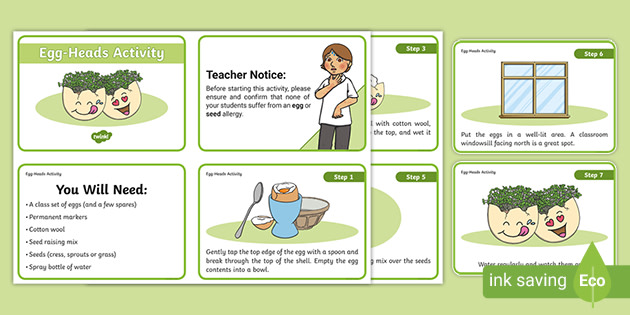 Egg-Heads Activity (teacher made)