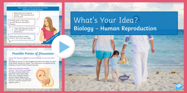 KS3 Human Reproduction What's Your Idea? PowerPoint