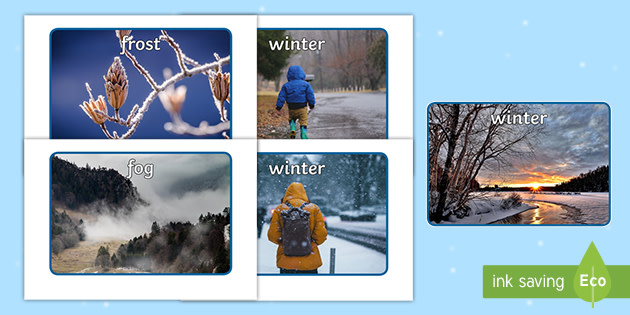 Winter Display Pictures (EYFS) (Hecho por educadores)