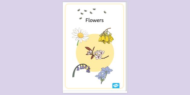 Easy Flowers Poster | Display | Primary Resources