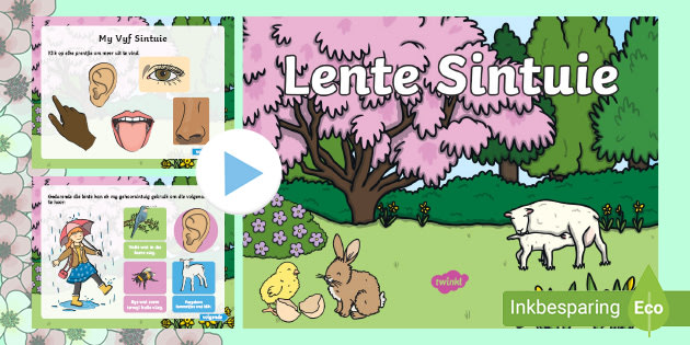 Lente Sintuie Powerpoint (teacher made)