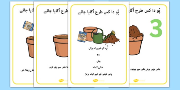 How to Grow a Plant Posters Urdu (teacher made)