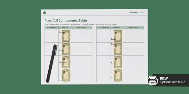 Plant Cell Components Table