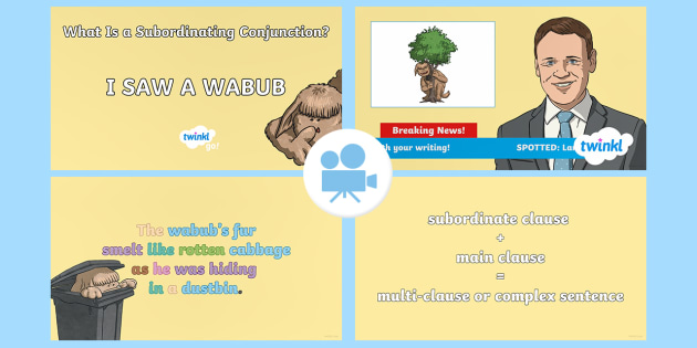 SPaG-Tastic! : I SAW A WABUB Video | Twinkl Go!