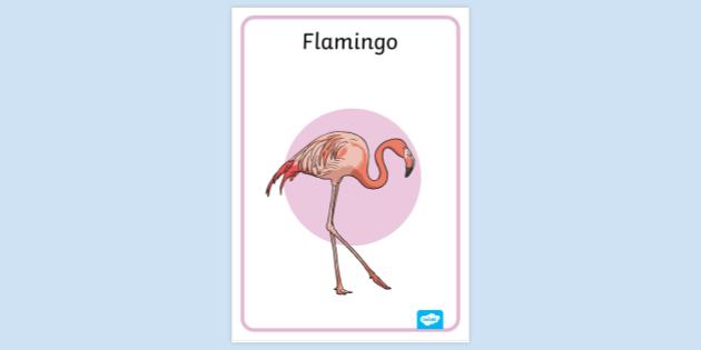 FREE! - Flamingo Poster | Primary Resources | Twinkl