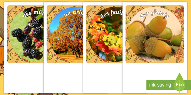 Photos à découper sur l'automne (teacher made)