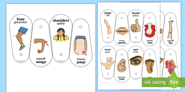 Parts of the Body Communication Fan English/Italian - Parts Of The Body