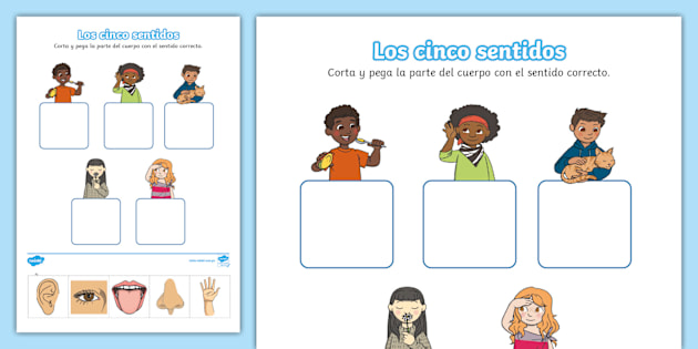 Hojas De Trabajo Para Recortar Y Pegar De Primer Grado