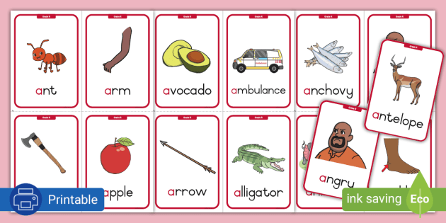 Gr. R Phonics B Flashcards
