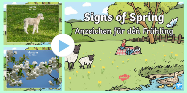 Signs of Spring | twinkl.com.au